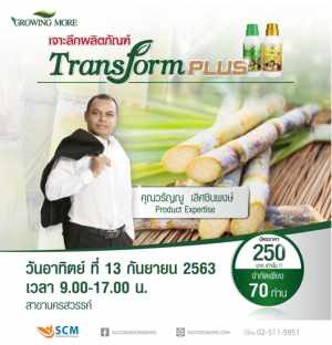 เจาะลึกผลิตภัณฑ์ Transform PLUS วันอาทิตย์ ที่ 13 กันยายน 2563 ...